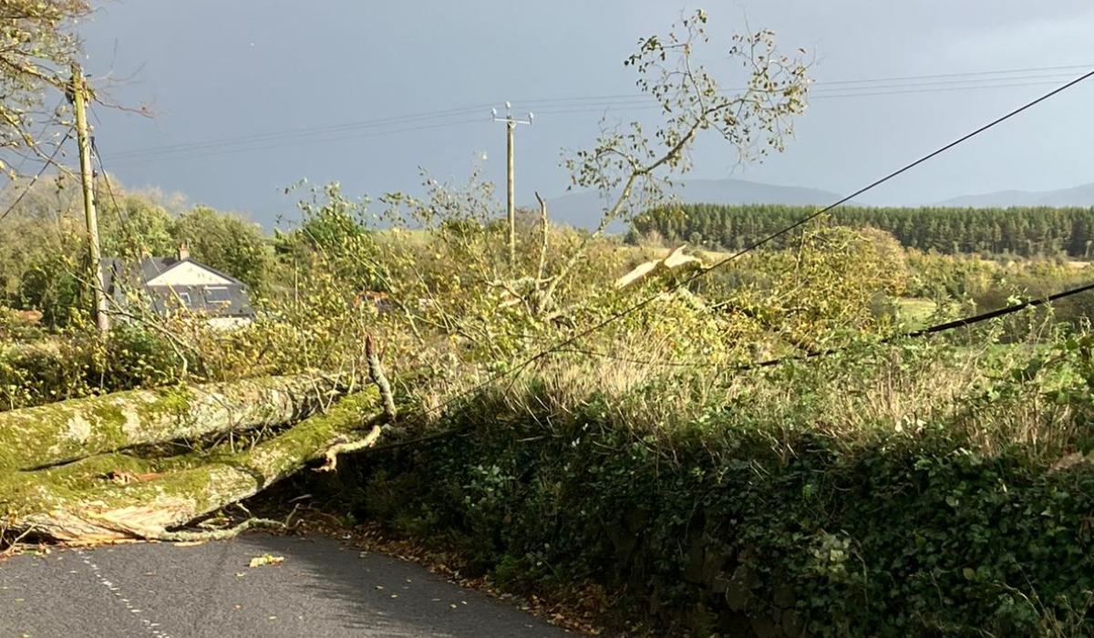 Storm Ashley left thousands without power in Limerick but damage kept ...