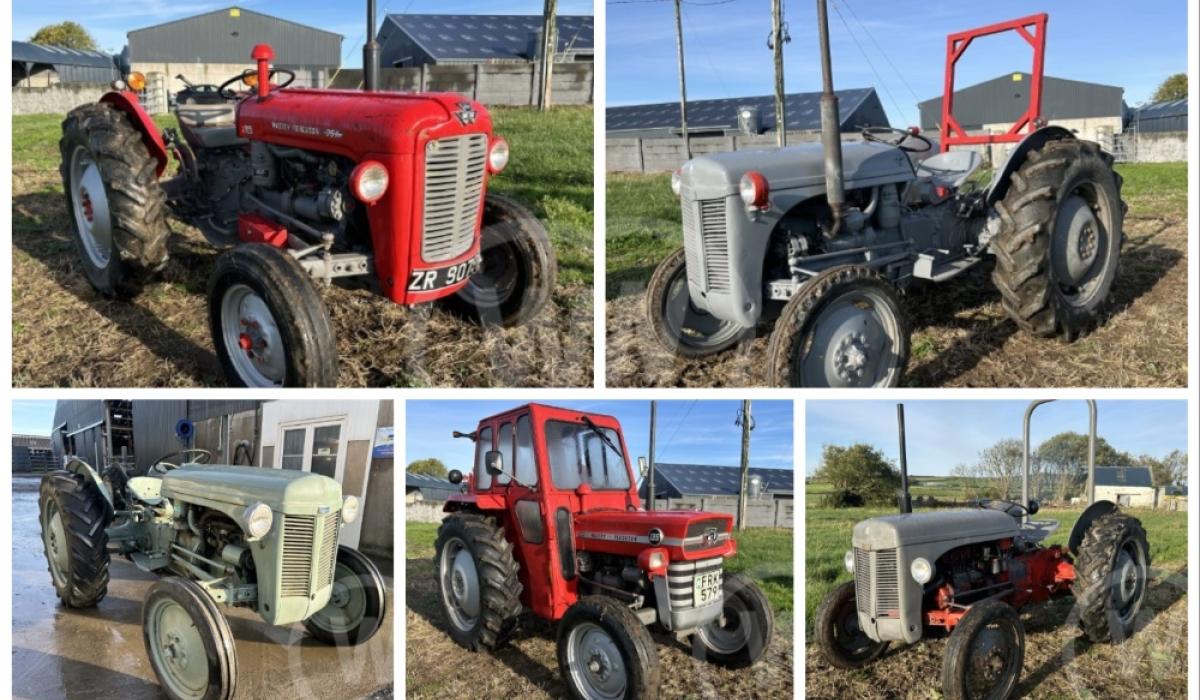 PICTURES: Private collection of sought-after vintage tractors going to ...