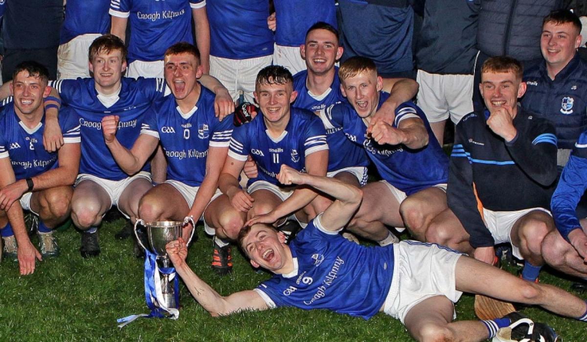 Croagh-Kilfinny secure historic Limerick intermediate hurling final win ...