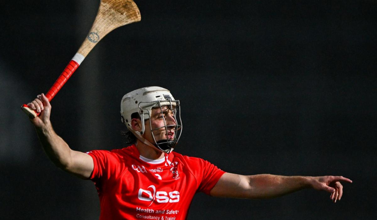 Adam English and Pat Ryan react to historic county title with Doon ...