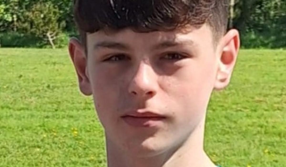 Gardaí issue urgent appeal for missing teenage boy from Westmeath - Limerick Live