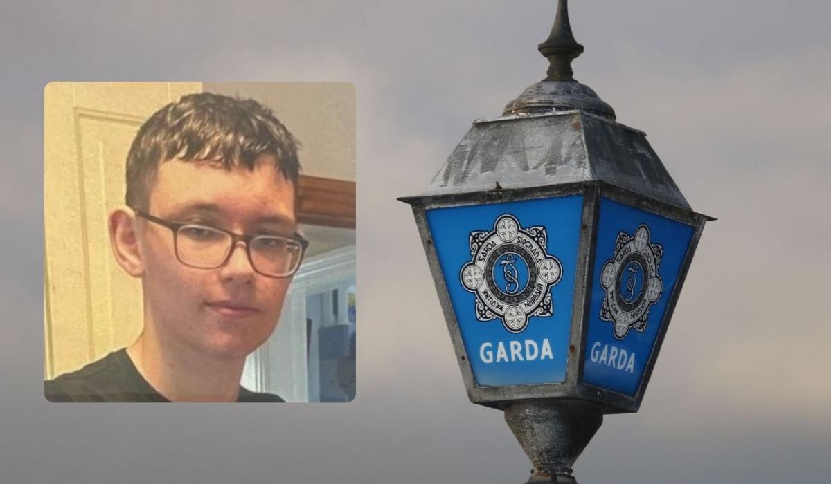 ALERT: Gardai concerned for well-being of 15-year-old boy reported missing in County Cork ...