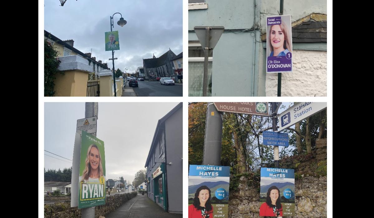 Tidy Towns group asks politicians to remove posters from their award ...