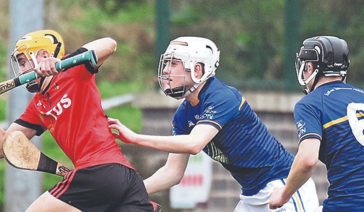 Four Limerick sides face crucial Harty Cup fixtures - Limerick Live