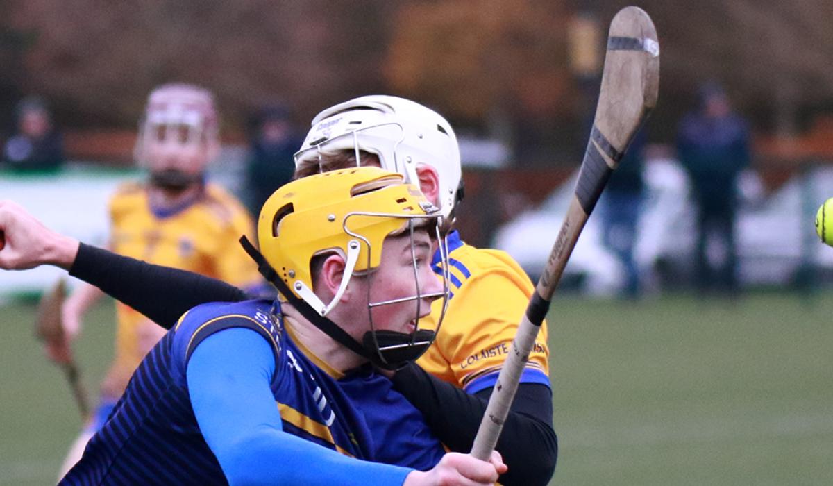Doon fall to Rice College in final round Dr Harty Cup group fixture ...