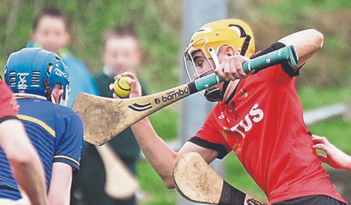 Hospital's John the Baptist learn Dr Harty Cup play-off opponents ...