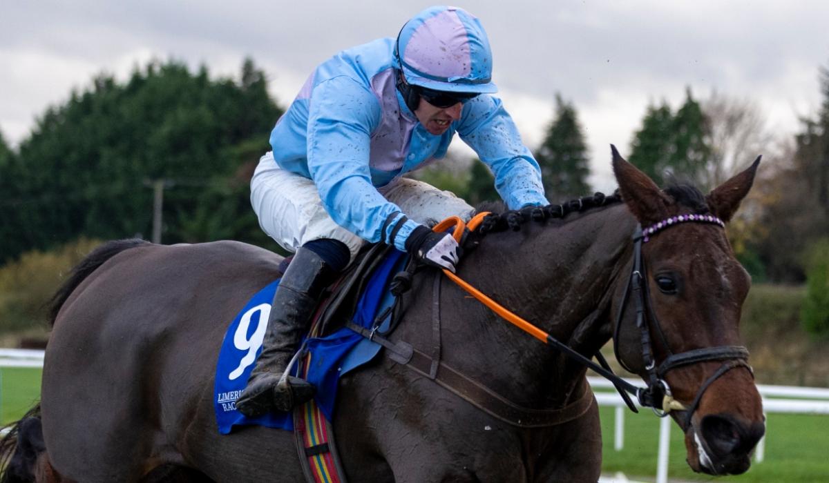 Bruff trainer celebrates memorable first winner on the racecourse ...