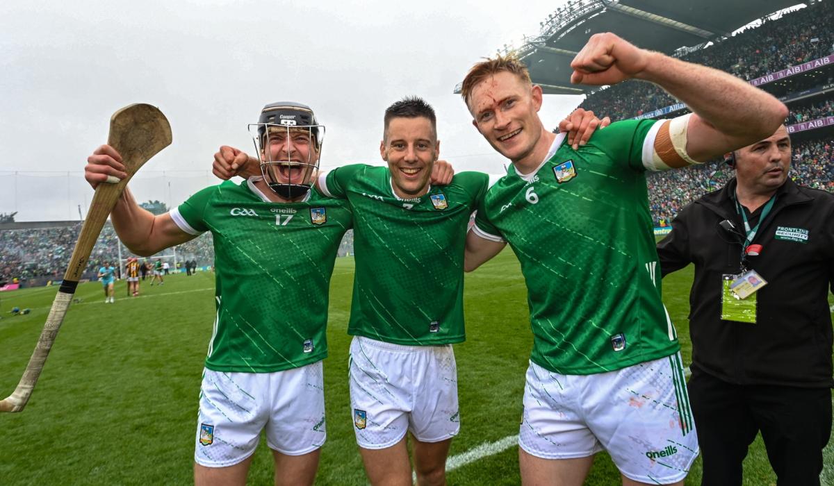 Limerick hurling jersey 2023 O’Neill’s best-selling jersey for last ...