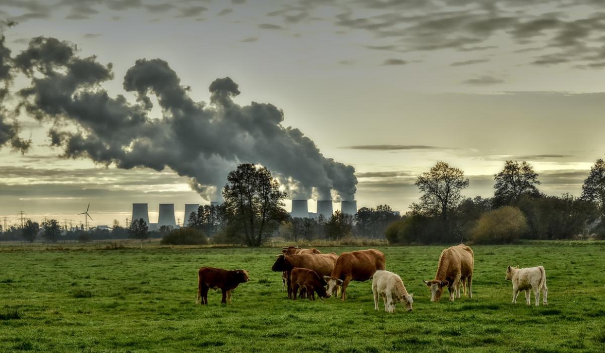 'Time to plan seriously' - State facing fines of up to €20bn for ...