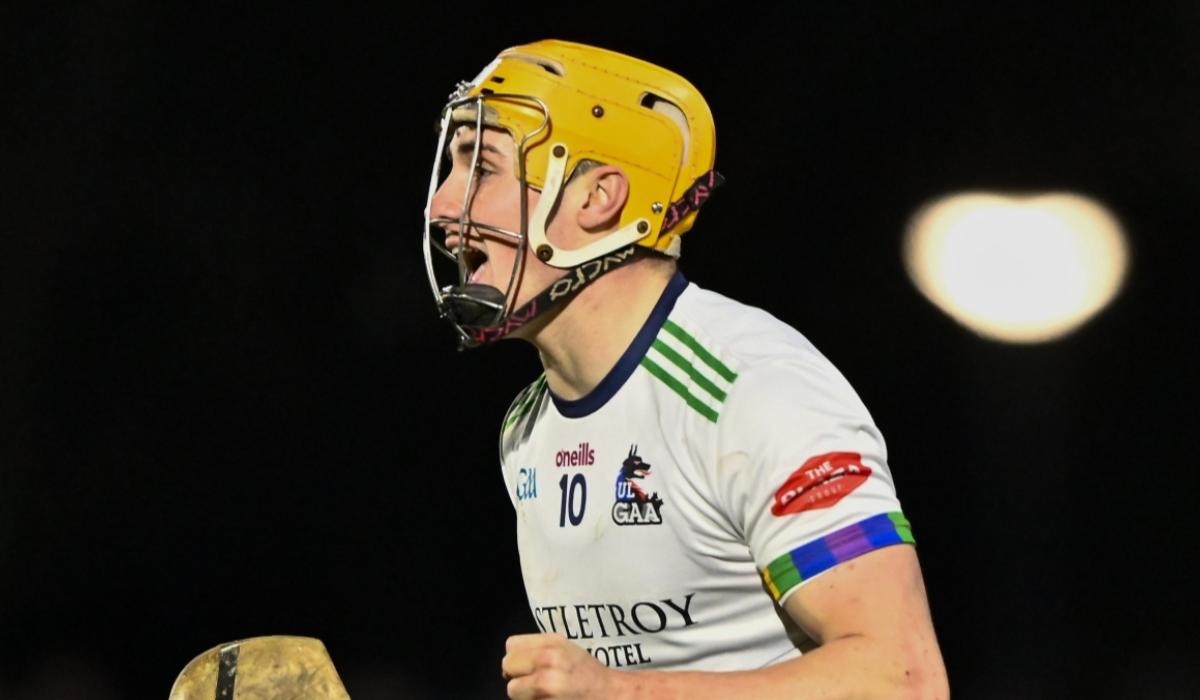 Limerick hurling stars impress as UL defeat DCU in Division 1 League ...