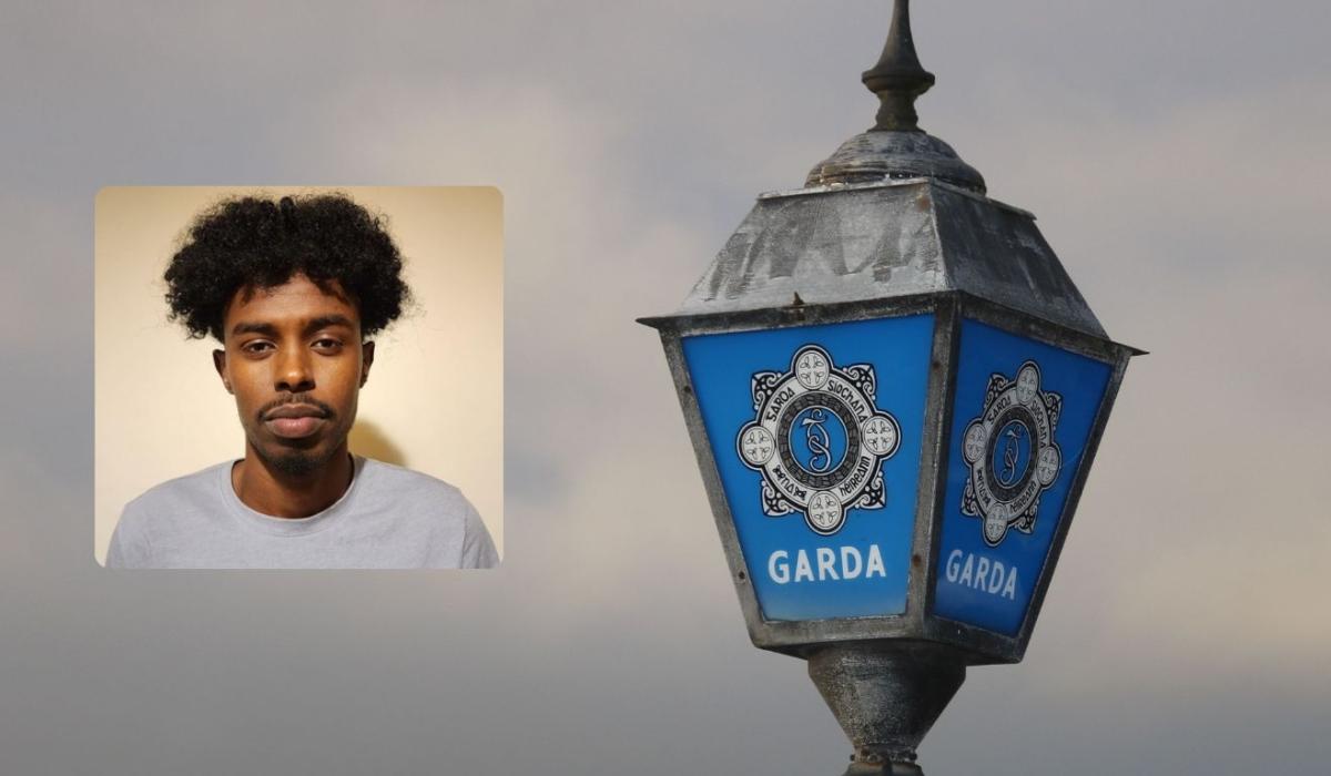 ALERT: Gardai issue urgent appeal for help in locating missing 17-year-old - Limerick Live