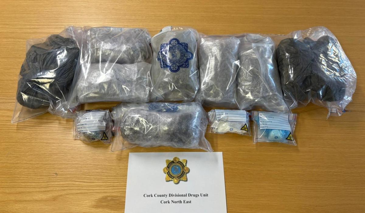 Teenager arrested following significant drugs seizure during garda ...