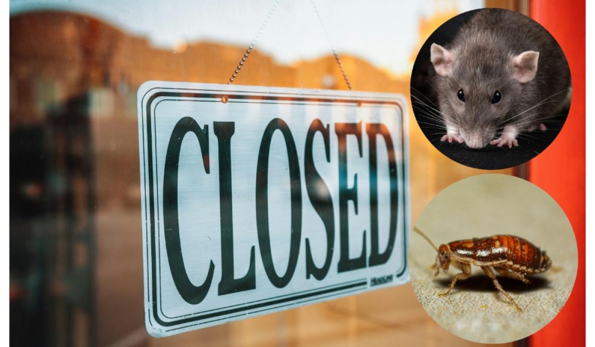 Live cockroach and rat infestations found as several food businesses ...