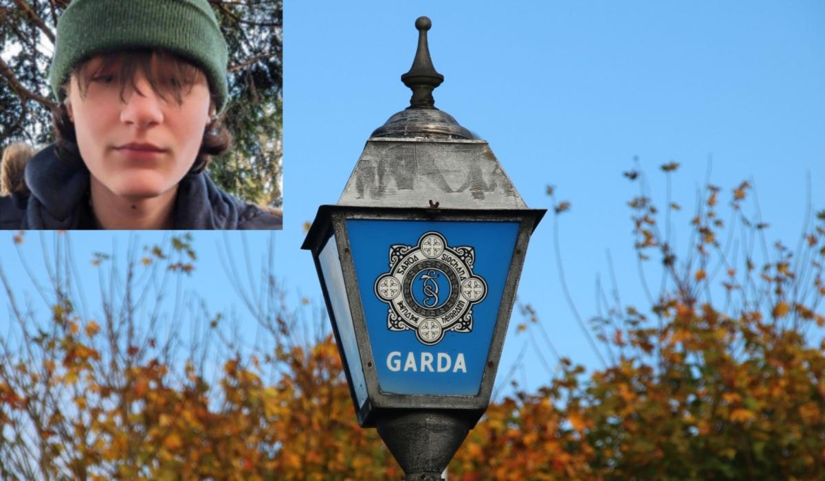 Gardaí issue missing persons appeal for Wexford teen (17) who was last seen on Thursday ...