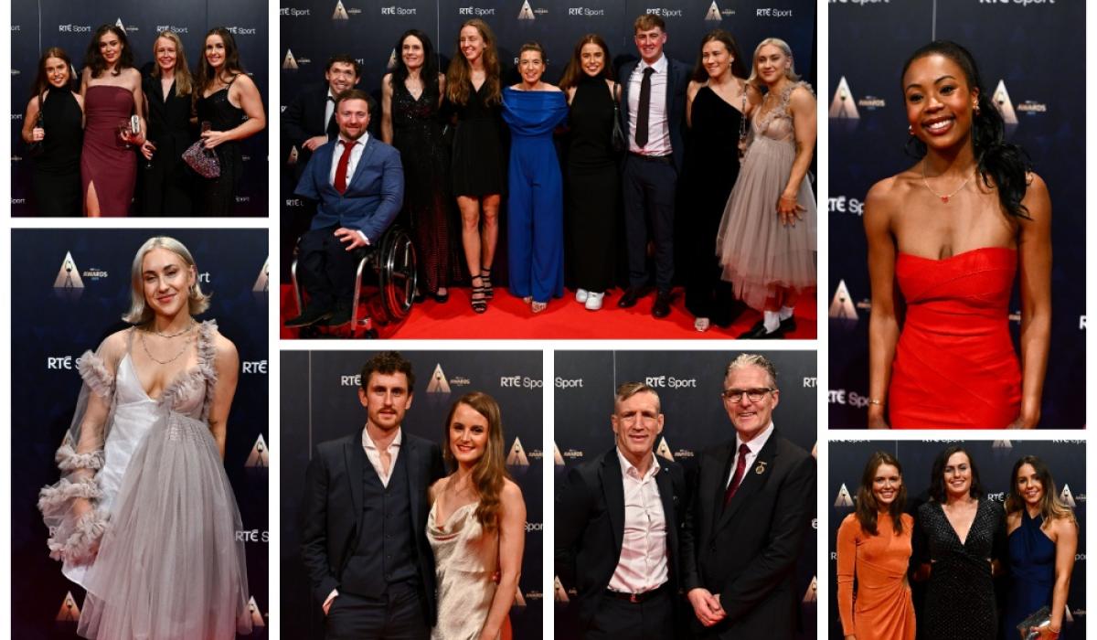 PICTURES: Ireland's sporting heroes and partners step out in style to ...