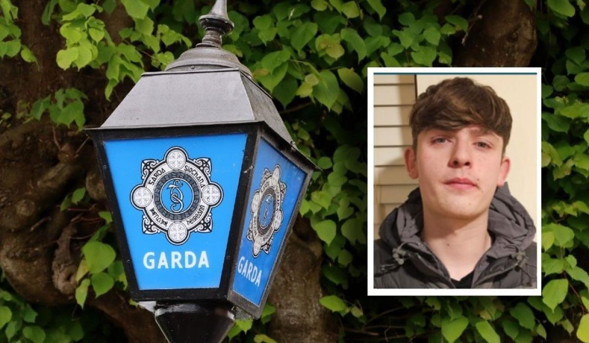 Gardaí stand down search for 15-year-old boy missing for almost a week amid update - Limerick Live