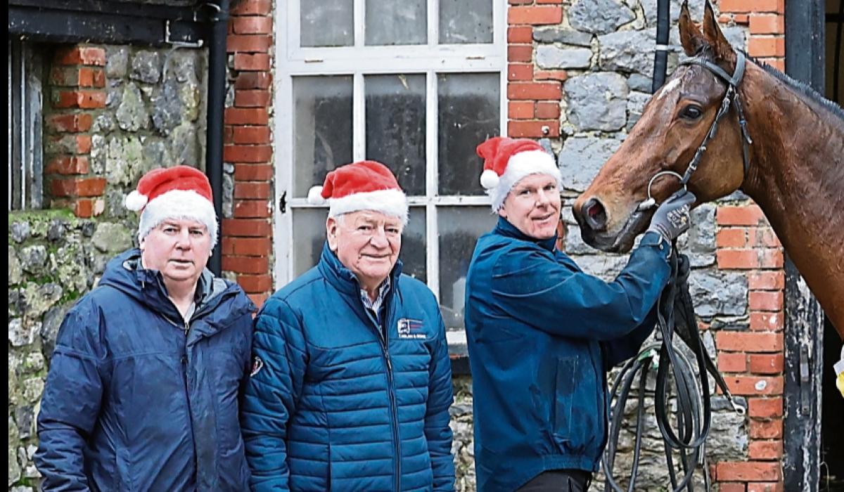 Limerick Racecourse ready with their annual Christmas offering ...