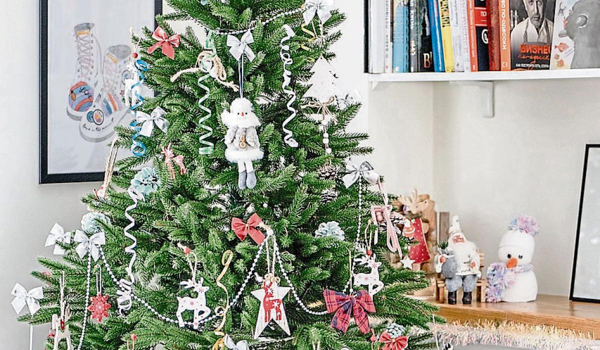 Green Limerick: Free disposal of Christmas trees this New Year ...