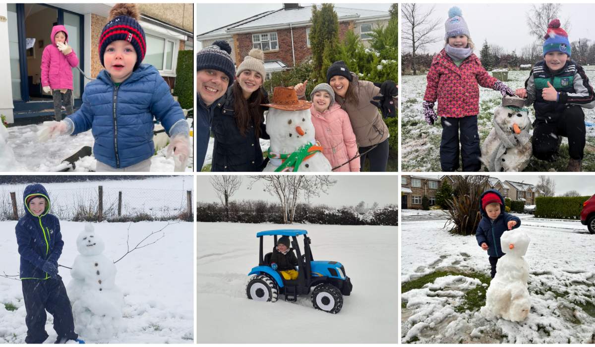 PICTURES: Snowy scenes across Limerick as cold snap sparks further ...