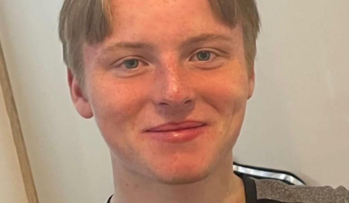 MISSING BOY: Gardai 'concerned for wellbeing' of 17-year-old boy reported missing - Limerick Live