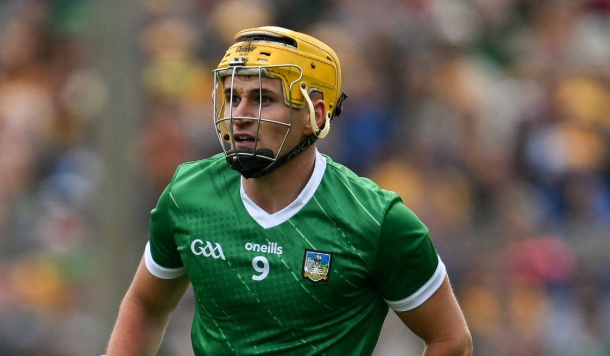 Limerick hurling stars set for Fitzgibbon Cup - Limerick Live