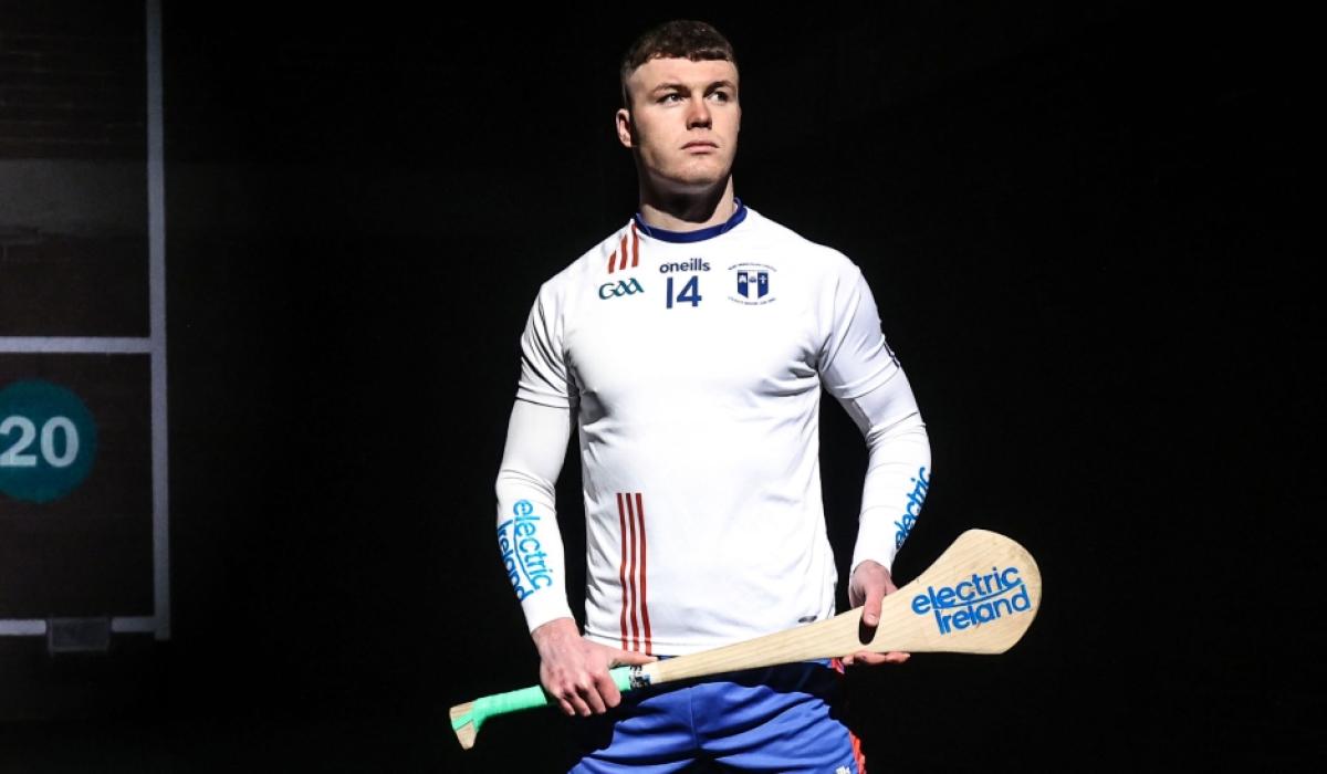 shane o brien limerick