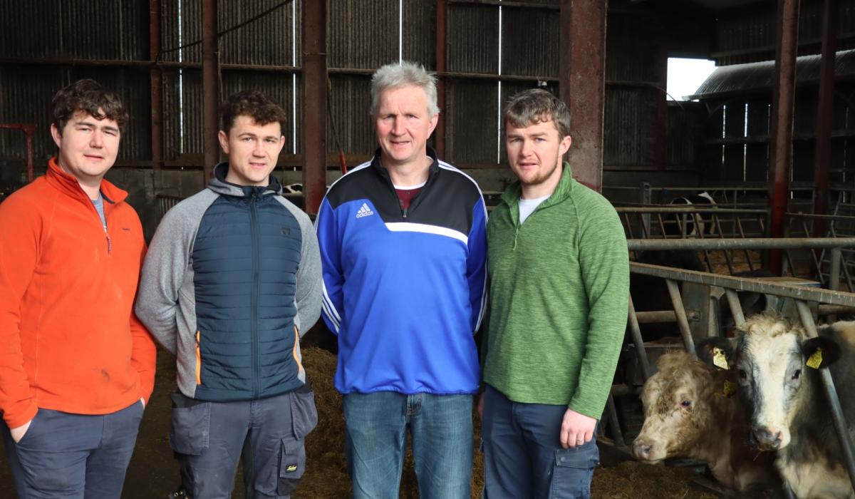 PICTURE: Limerick farm hosts a CalfCare On-Farm Event - Page 1 of 15 ...