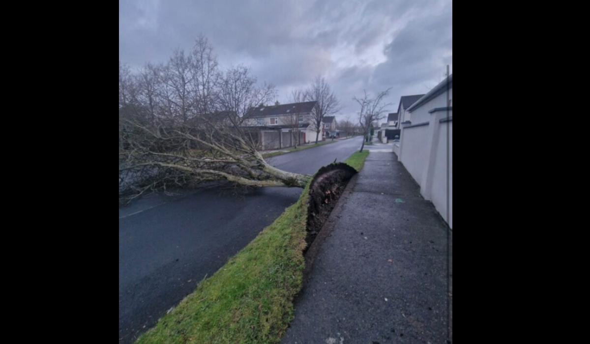 ALERT: Motorists warned of fallen trees and blocked roads as Storm ...