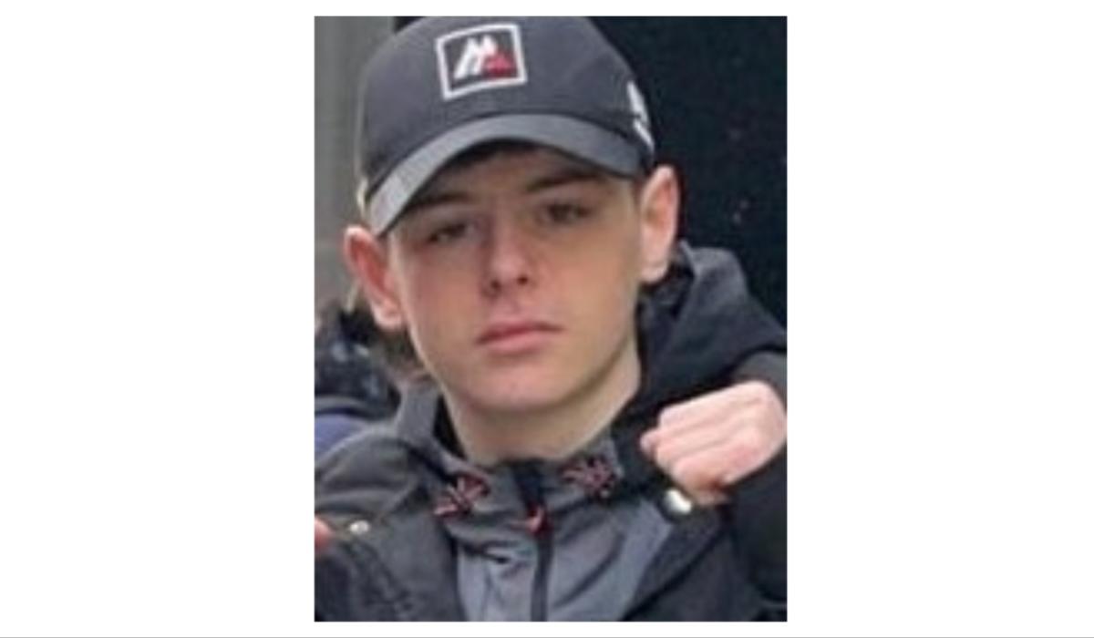 ALERT: Gardaí in urgent appeal for missing 13-year-old boy - Limerick Live