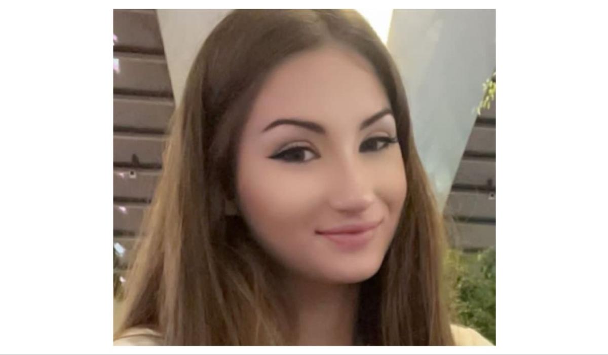 Search stood down for missing teen amid garda update - Limerick Live