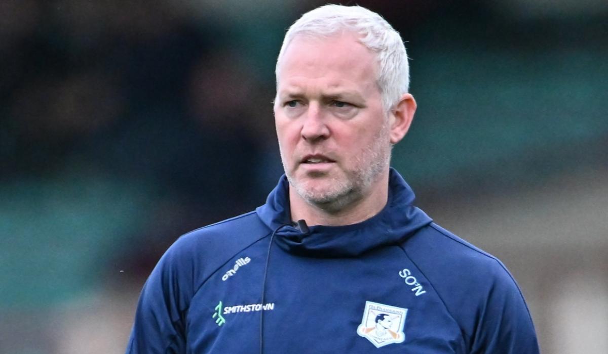 Limerick club hurling management teams taking shape - Limerick Live