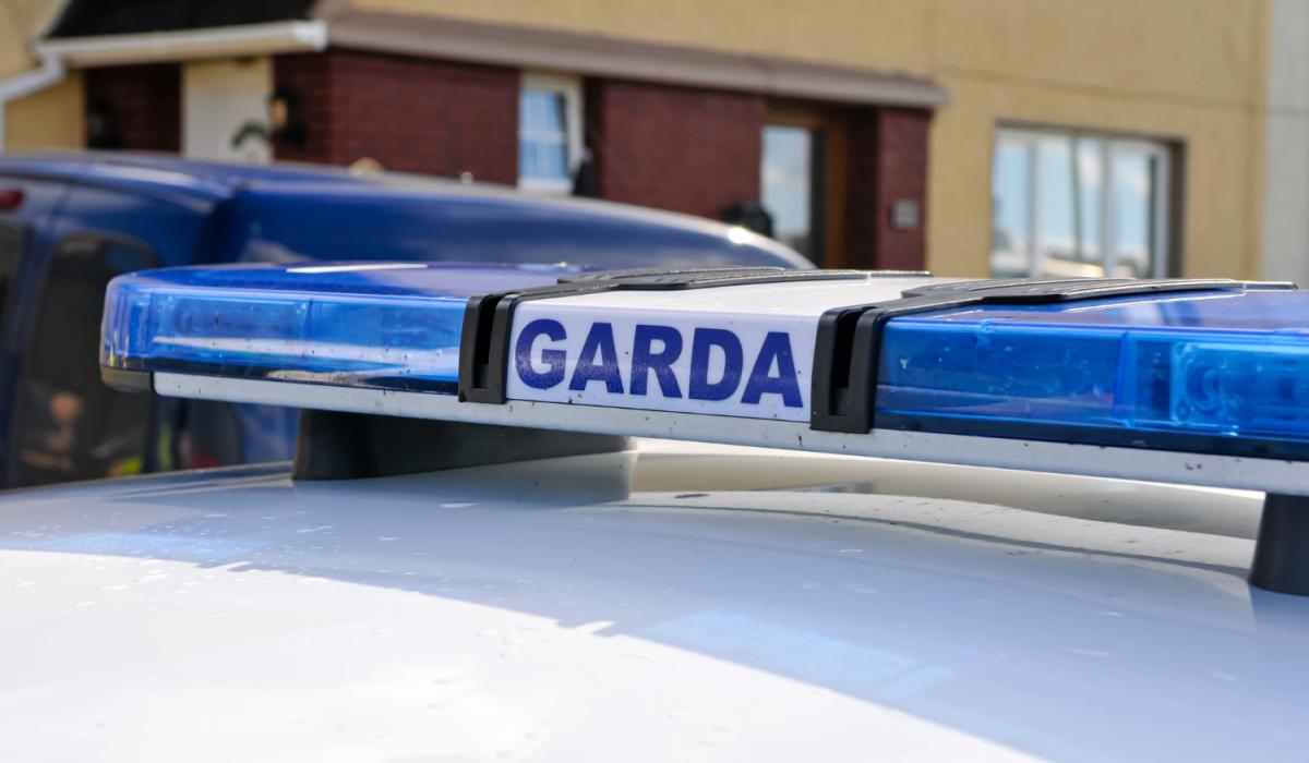 Warning to drivers as thousands of cars are stolen from Irish driveways ...