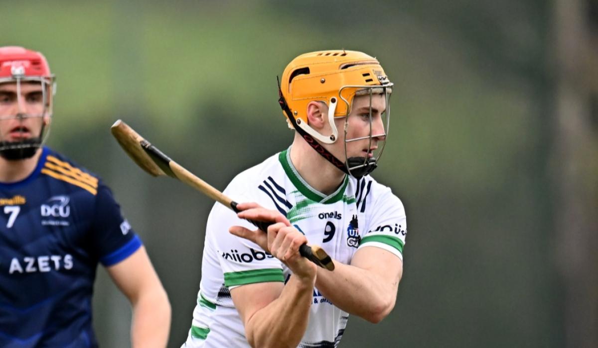 Limerick hurling stars inspire UL to Fitzgibbon Cup final victory over ...