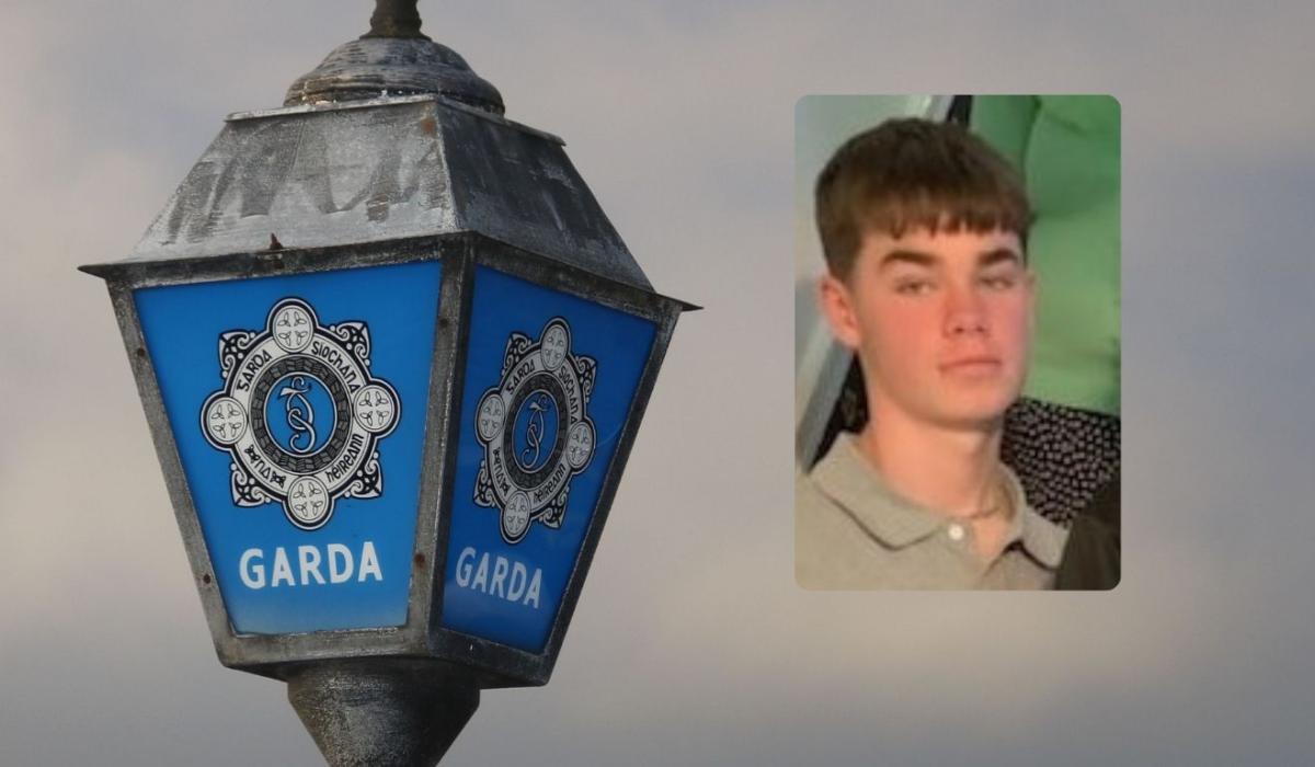 ALERT: Gardai in urgent appeal as concerns grow for well-being 16-year-old boy - Limerick Live