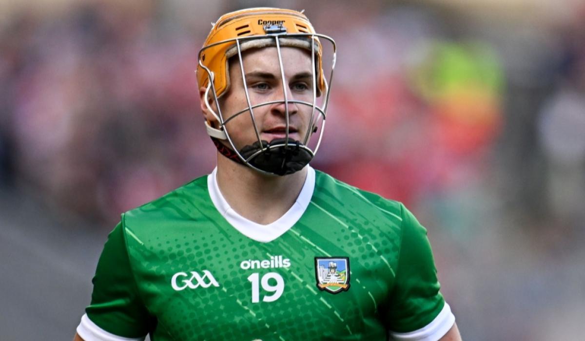 Limerick hurling star Adam English hoping to add to his success - Limerick Live