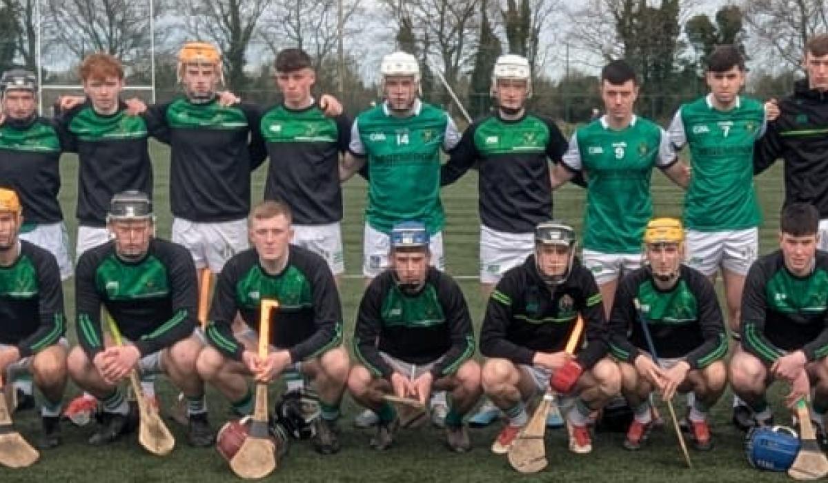 SMI Newcastle West's senior hurlers power their way into All-Ireland ...