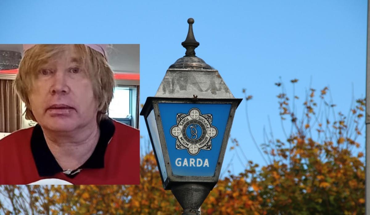 Gardaí and family concerned for well-being of missing man(60) from Offaly - Limerick Live