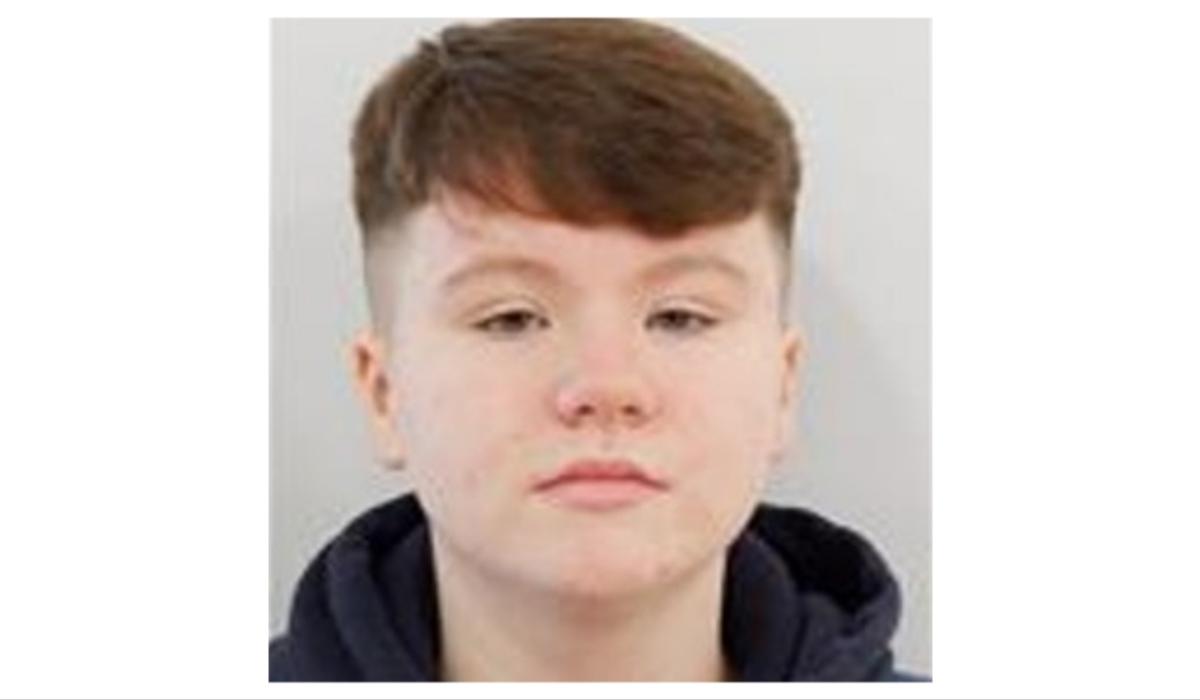 Search stood down for missing 13-year-old amid garda update - Limerick Live