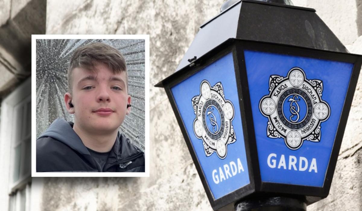 Have you seen Sean? Gardaí issue appeal to locate teen boy missing from home since Sunday ...