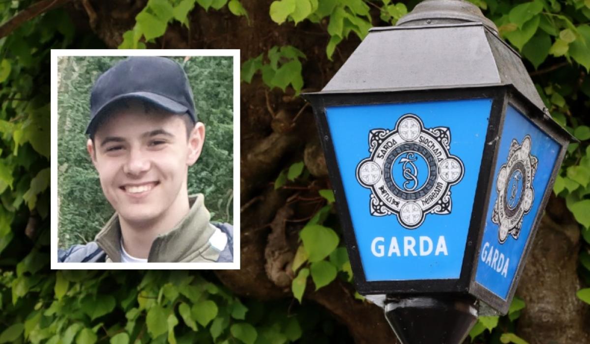 Gardaí stand down search for missing teenager amid update - Limerick Live