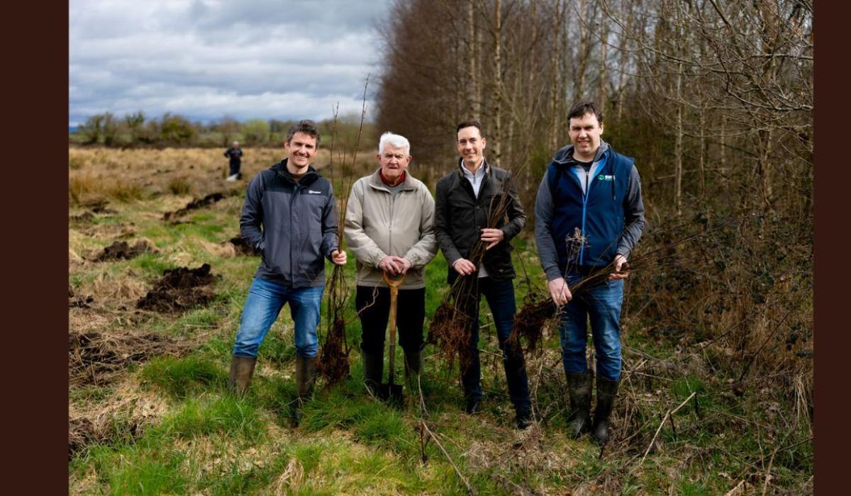 Green Limerick: Non-profit group supports native tree planting project ...