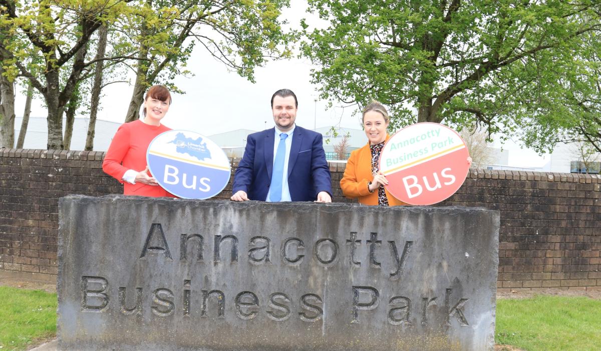 Limerick Chamber gives views on delay to BusConnects project - Limerick Live