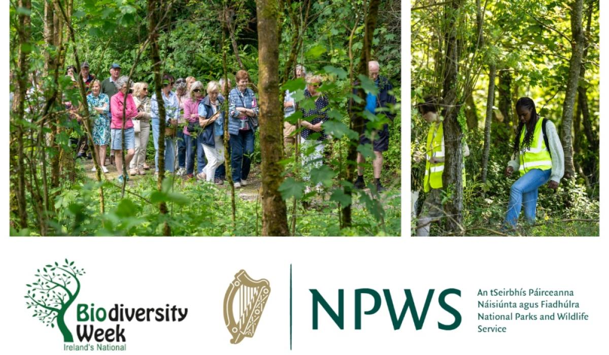 Celebrate nature during National Biodiversity Week in Limerick ...