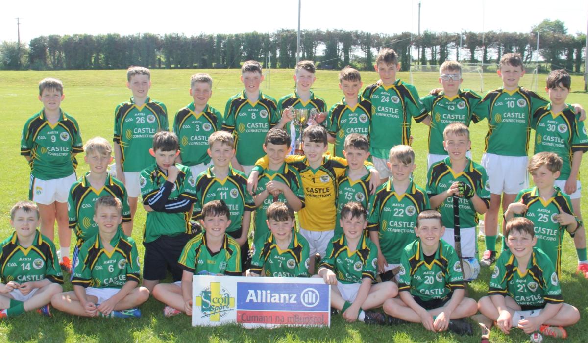 PICTURES: Allianz East Limerick Cumann na mBunscol hurling and camogie ...