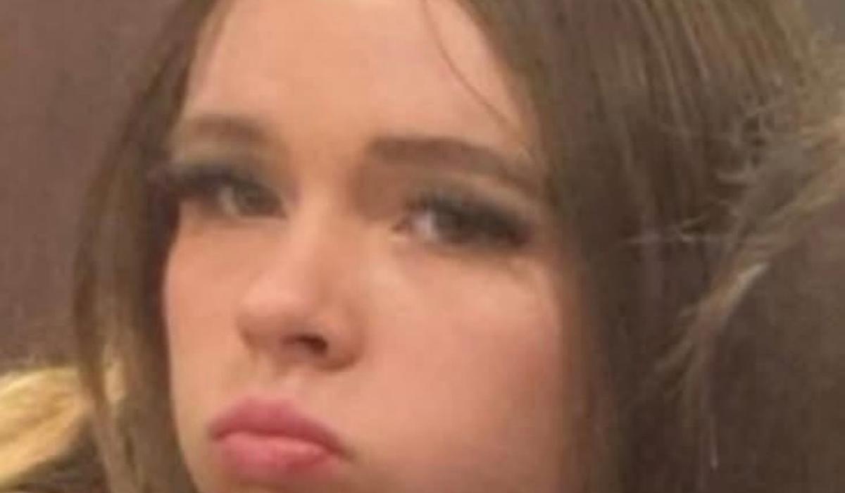 Search for missing girl (15) stood down amid Garda update - Limerick Live