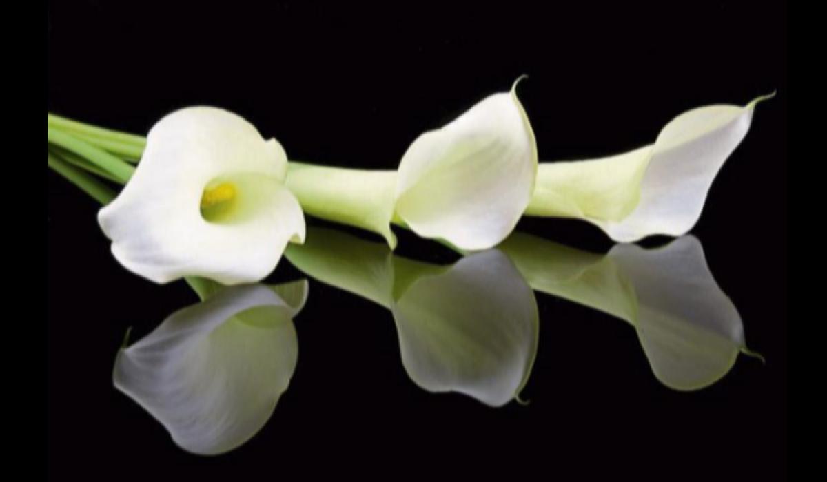 RIP: Limerick deaths and funeral details, Thursday, September 04 ...