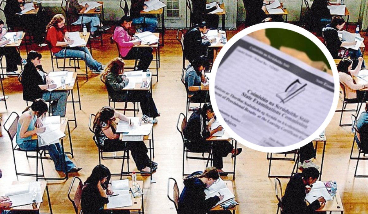 OPINION: 2025 Leaving Cert students shafted as 'Covid kids' will nab college places - Limerick Live