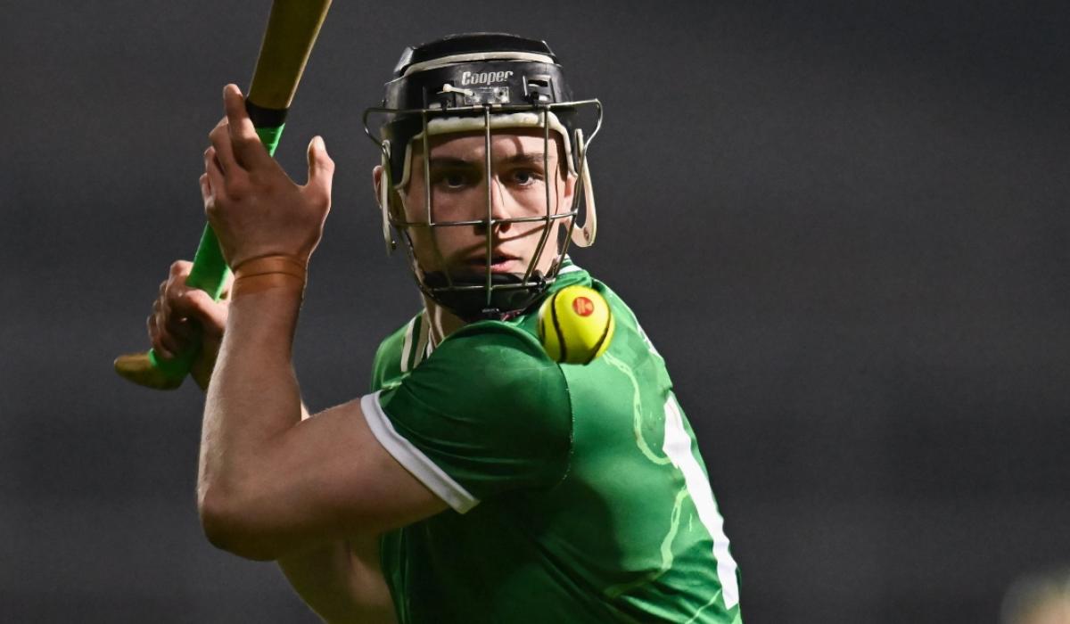 Limerick senior hurling team announced for Munster final showdown with ...