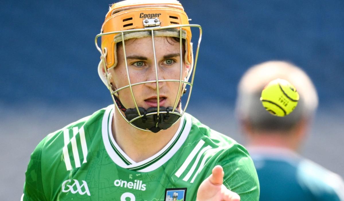 Two Limerick hurlers named in GAA.ie Team of the Week - Limerick Live