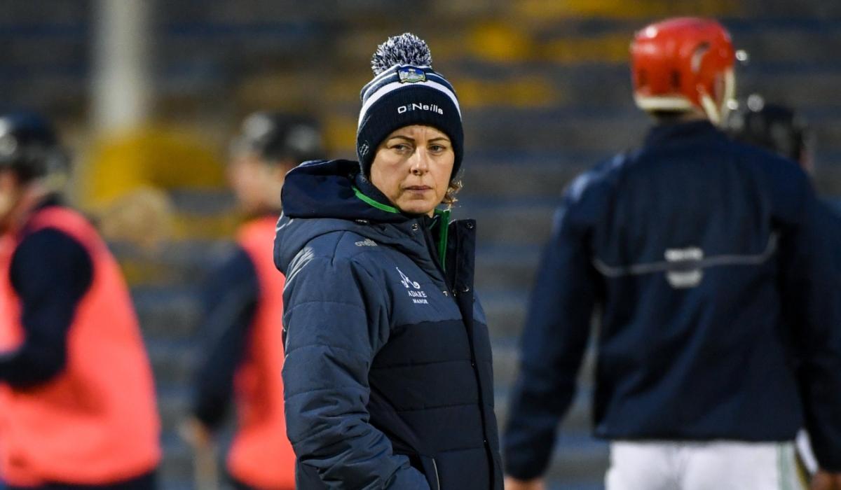 Former Limerick hurling psychologist joins Paul O'Connell's Irish rugby ...